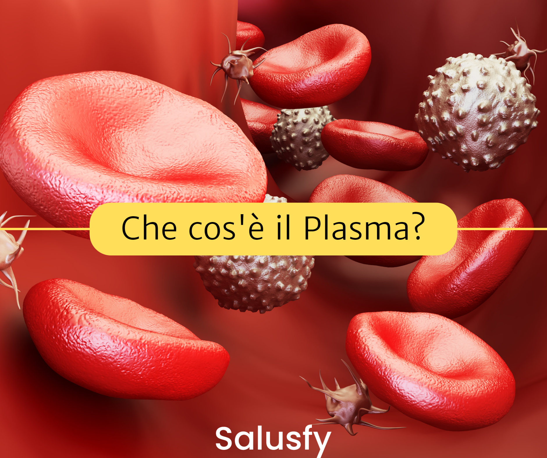 Che cos’è il plasma? – Salusfy